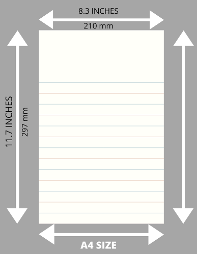 International Paper Sizes. Letter Size and A4 sizes paper